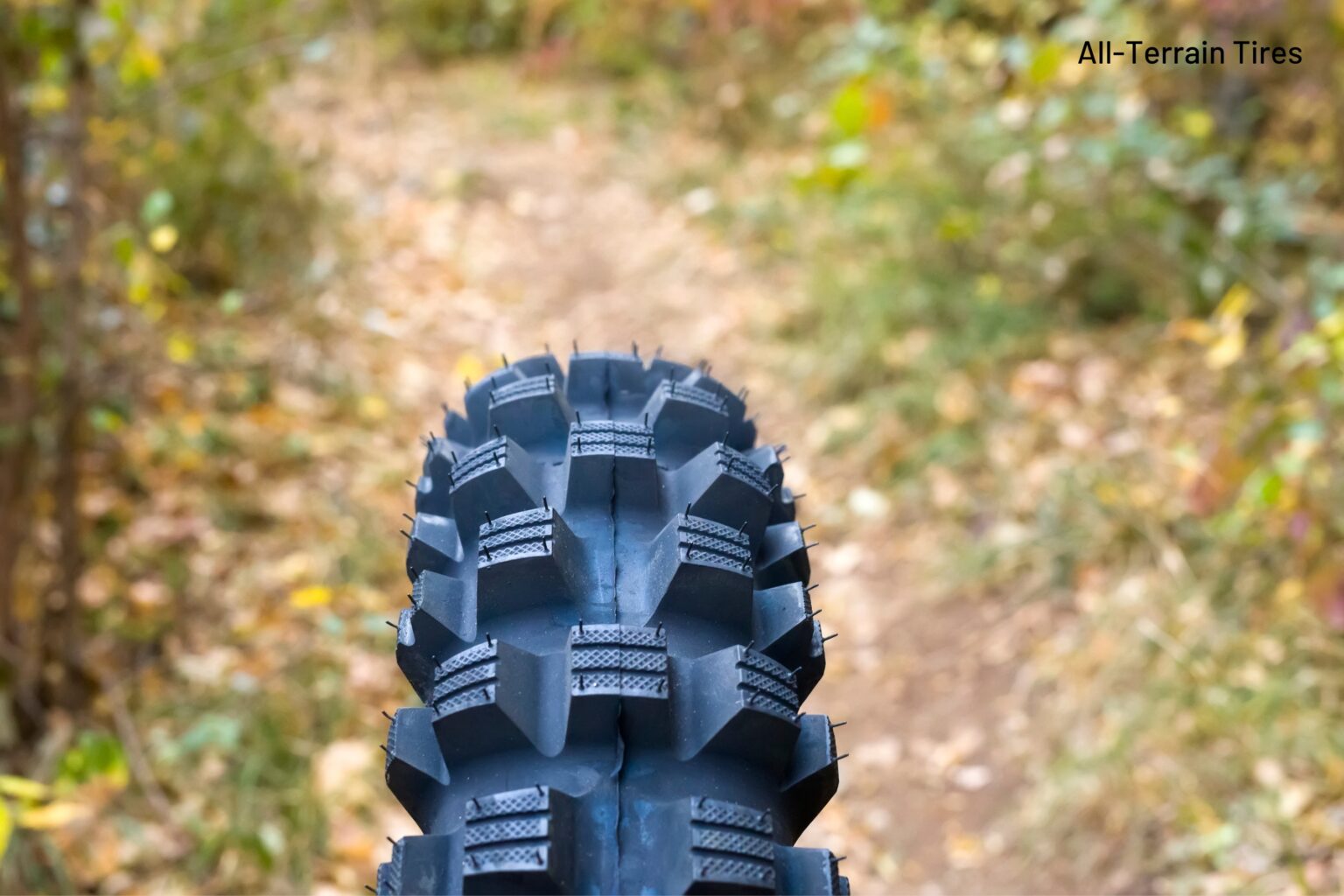 September 2024 Types of Tires: Which is Best for You? - Tires Easy ...