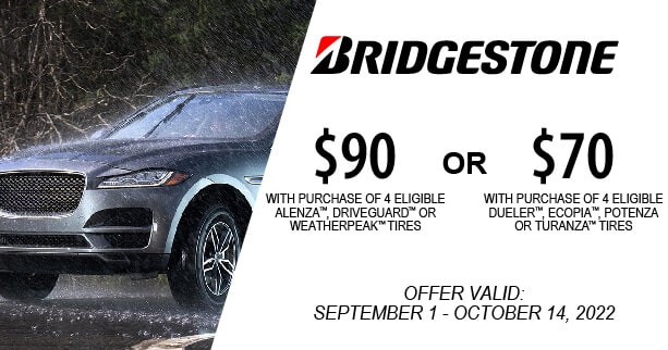 Consumer Rebates | Tires-easy.com