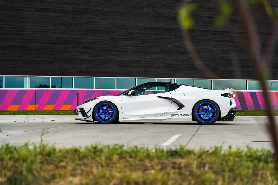 Paragon Paragon Tour A/S 195/65R15 91H BSW Tires